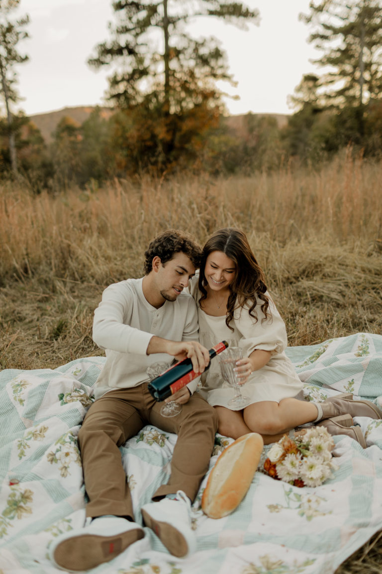 Outdoor Picnic Engagement Session - Alice McLain Photography